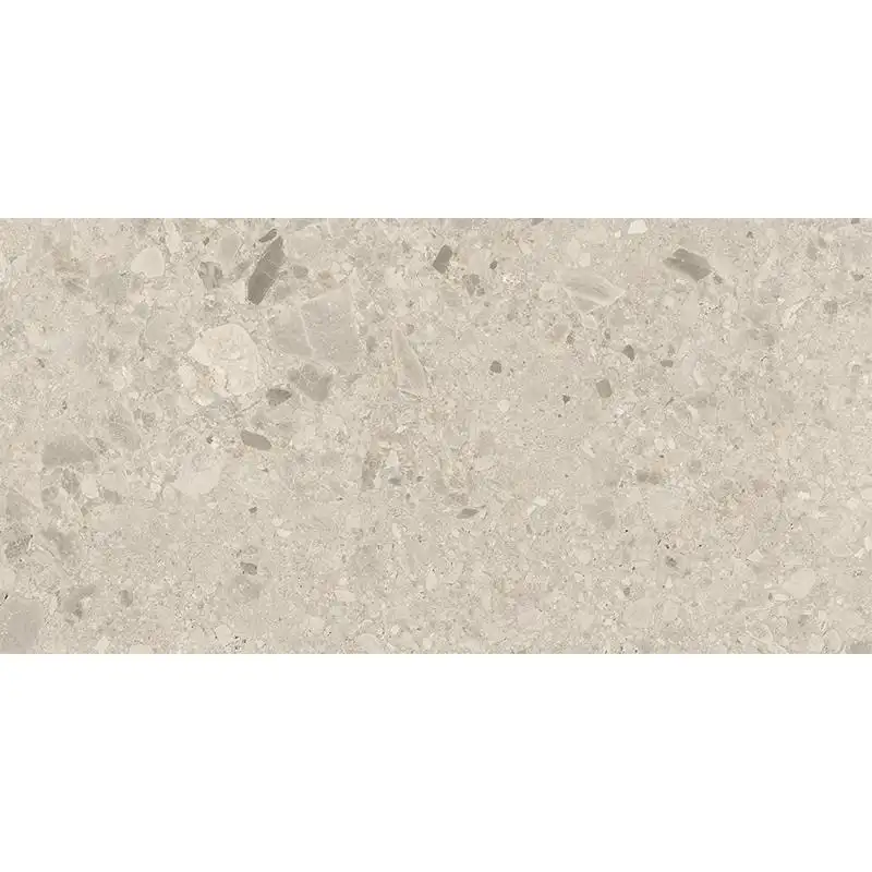 Terrazzo Beige 60x120