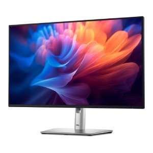 27" P2725H IPS 100Hz