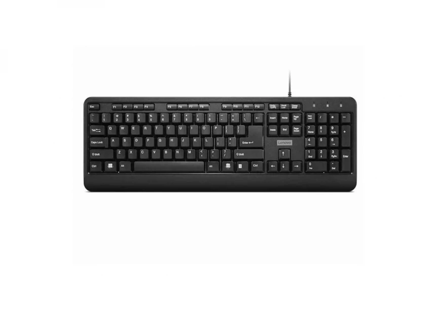 Tastatura LENOVO 160 žična/GY41L68463/US/crna