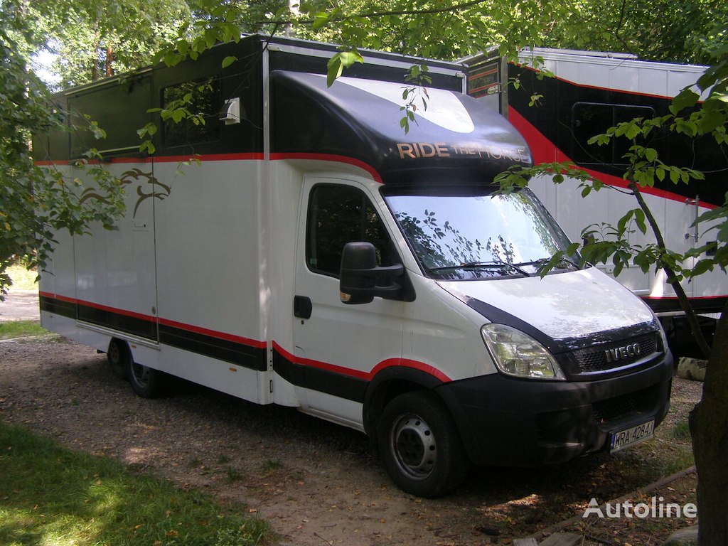 IVECO DAILY vozilo za prevoz konja