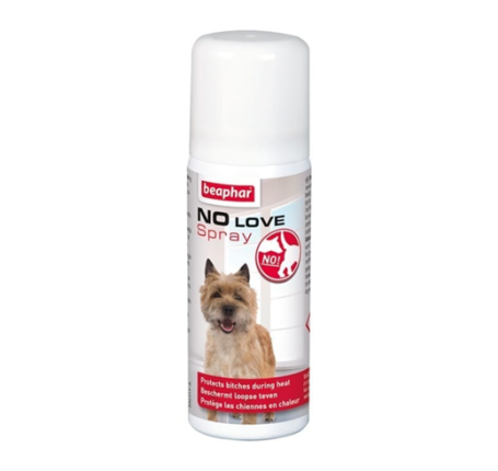 No Love spray 50ml