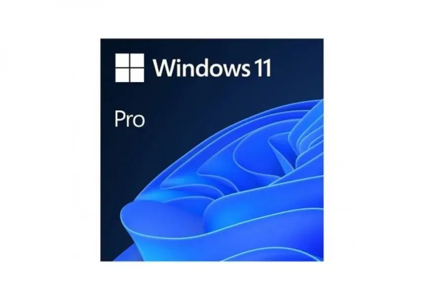 Microsoft FPP Win 11 Pro 64bit ENG, HAV-00164