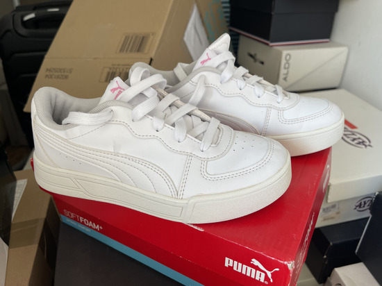 Puma 34