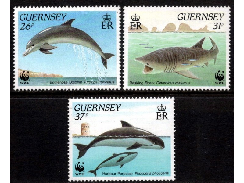 Guernsey 1990. Fauna