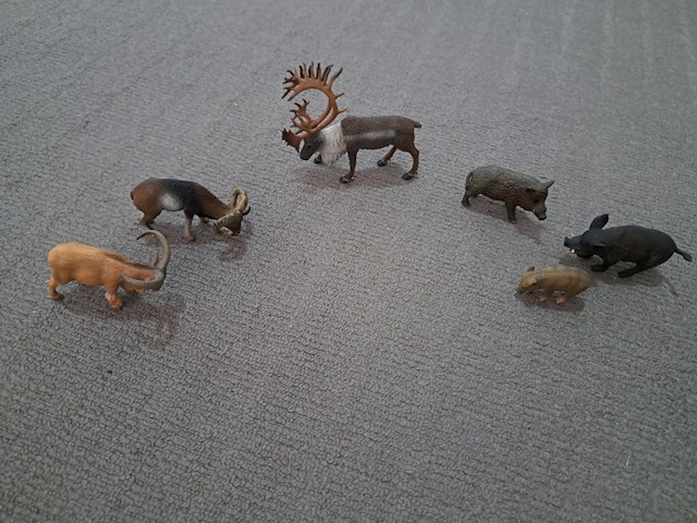 Collecta predivne figure Wild Animals