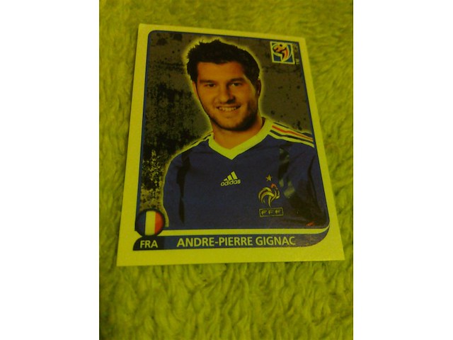 Panini FIFA 2010 J.Afrika sličica broj 105
