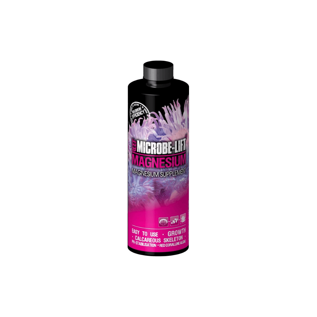 Magnesium – Safely Increase Magnesium