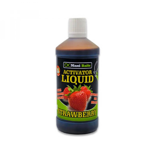 Aktivator Maxi Baits Liquid 250 ml