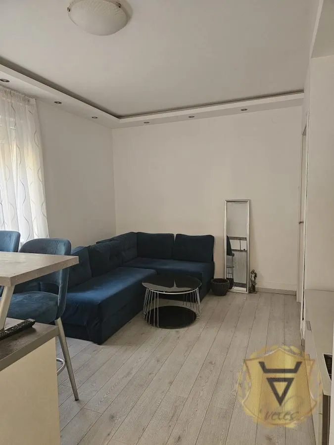 Izdavanje, dvosoban stan, 50m2, Profesorska Kolonija, Palilula, Beograd