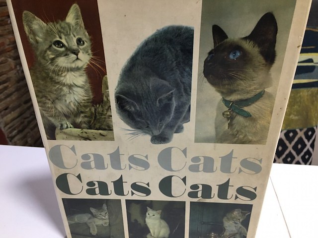 Cats, Cats, Cats, Cats John R.Gilbert