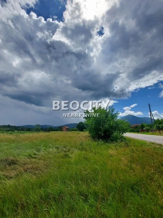 Prodaja, zemljište, 37m2, Boljevac