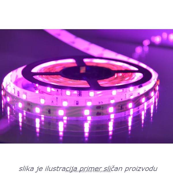 LED TRAKA PINK MLR-R2835-60 II 5MX8X2.2MM 12V60LED 4.8W1M IP20 901