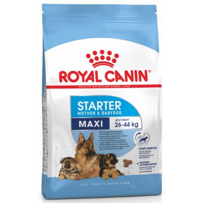 Royal Canin Maxi Starter 4kg