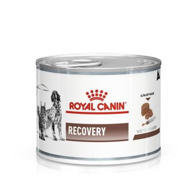 Royal Canin Recovery Canine / Feline 195g