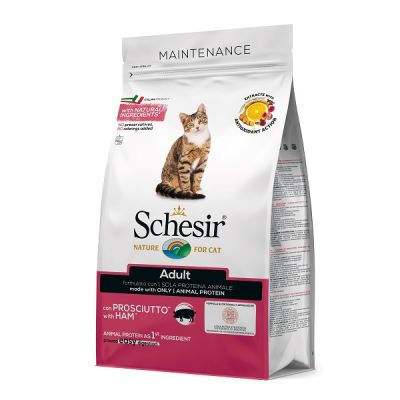 Schesir Dry Cat Adult Šunka 400g