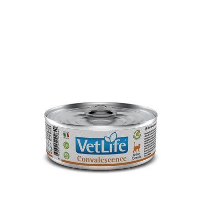 Vet Life Cat Convalescence 85g