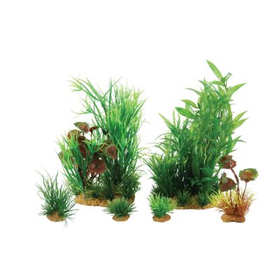 352146 Zolux Ukrasna Biljka Plantkit Jalaya N°2