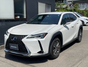 Lexus UX krosover