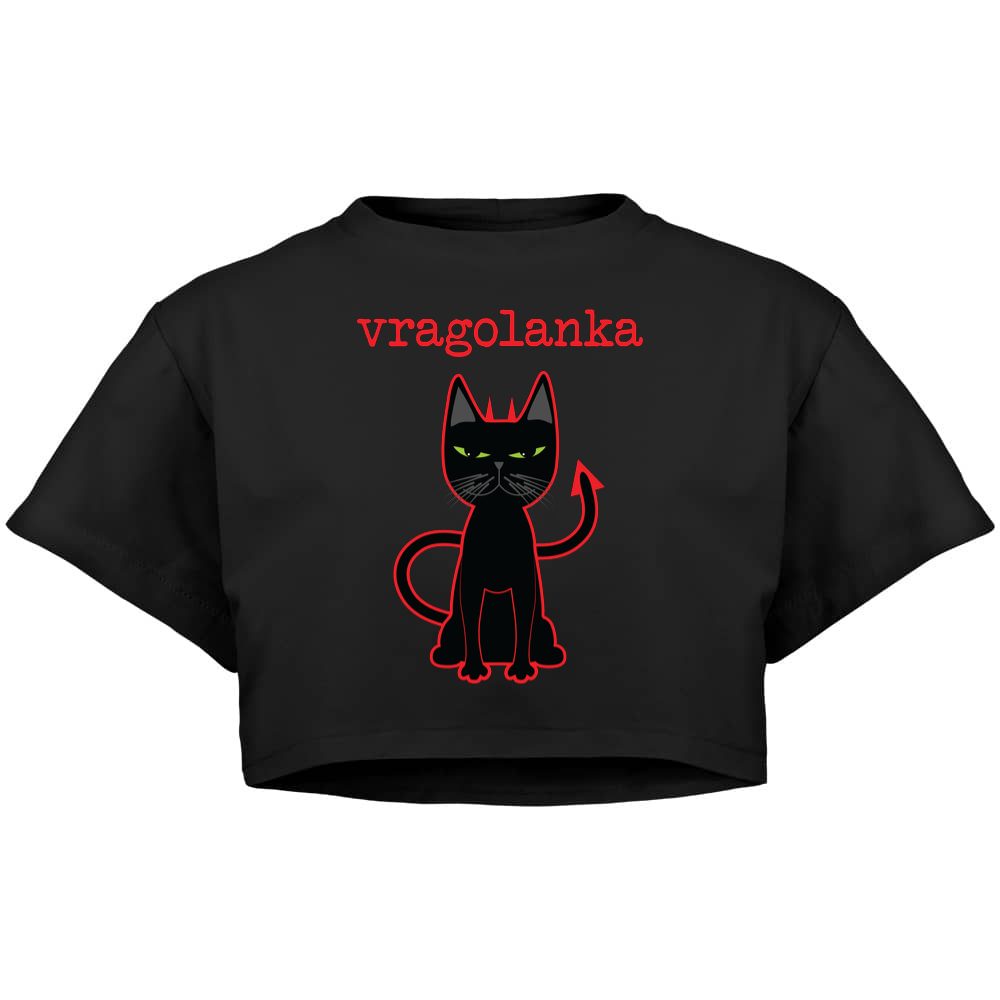 Vragolanka I