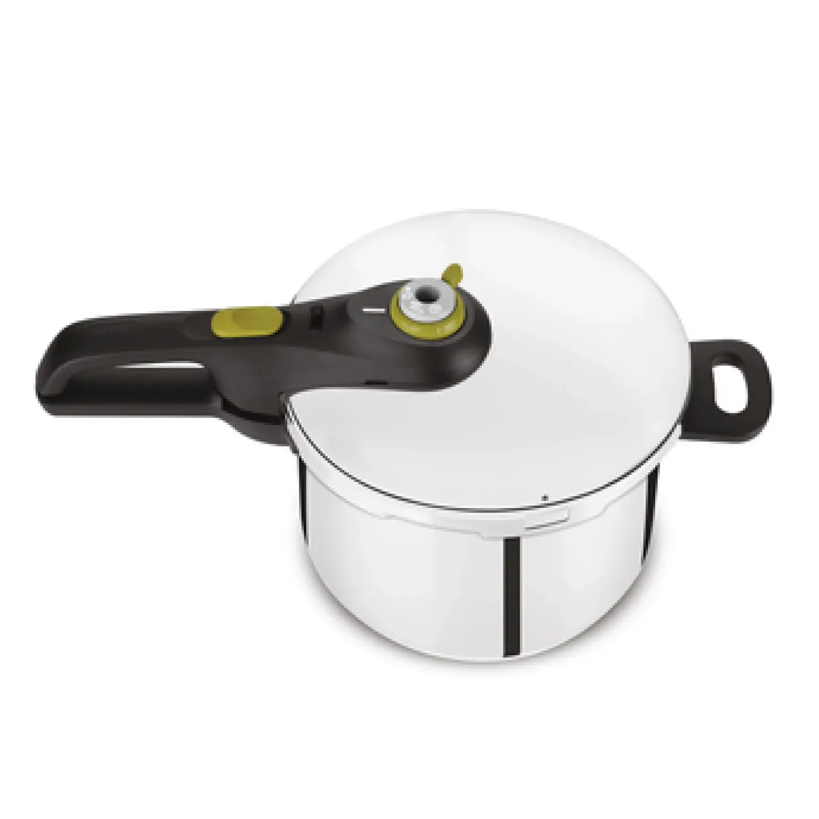 Tefal Ekpress lonac P2580701 6L