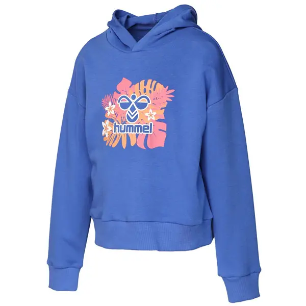 HUMMEL Duks HMLjADAN HOODIE