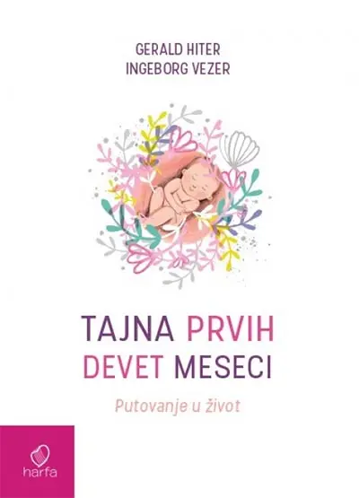 Tajna prvih devet meseci: putovanje u život