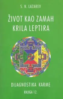 Dijagnostika karme: život kao zamah krila leptira - knjiga 12