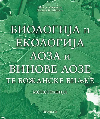 Biologija i ekologija loza i vinove loze: te božanske biljke