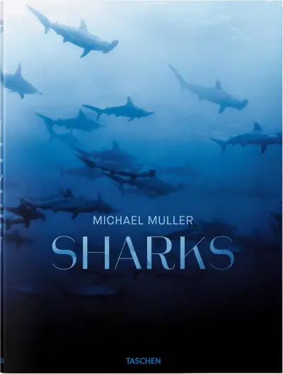 Michael Muller: Sharks