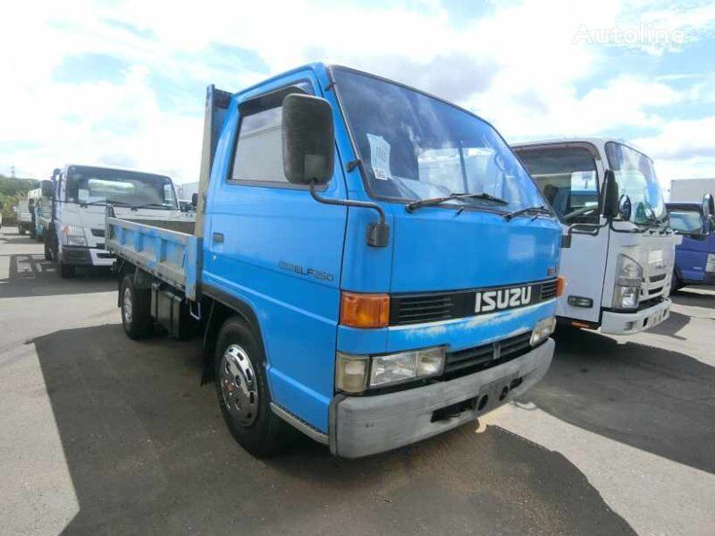 Isuzu ELF kamion s ravnom platformom < 3.5t