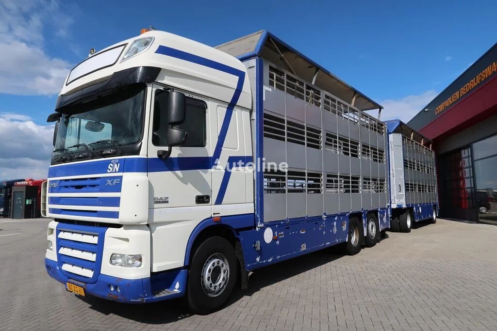 DAF XF 105 105-460 kamion za prevoz stoke