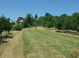 Prodaja Kuća - Inđija, Čortanovci