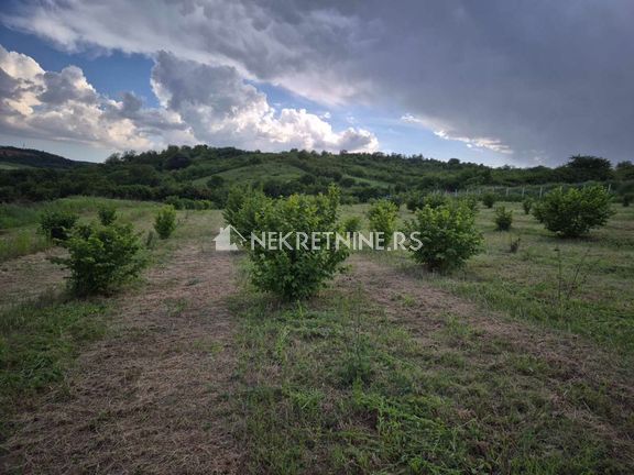 Poljoprivredno zemljiste - Sremski Karlovci, odlicna lokacija