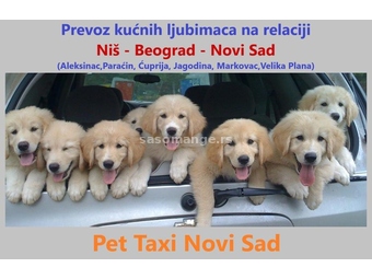 Prevoz kućnih ljubimaca na relaciji Niš - Beograd - Novi Sad i do mesta pored auto puta