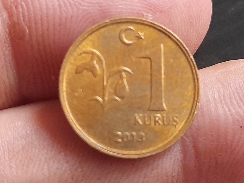 Turska, 1 kurus 2013