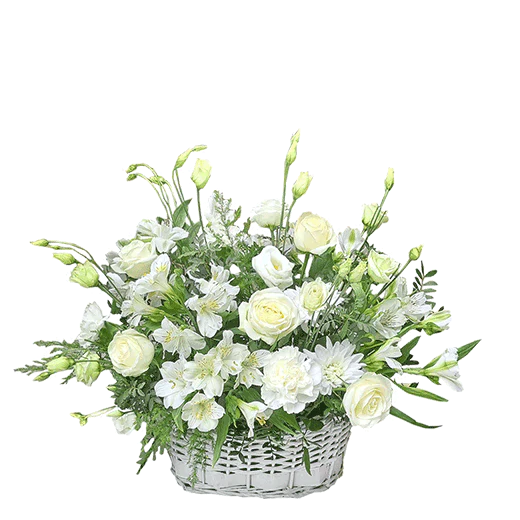 Basket of white flowers