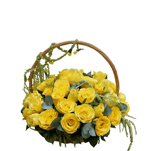 Yellow roses in a basket