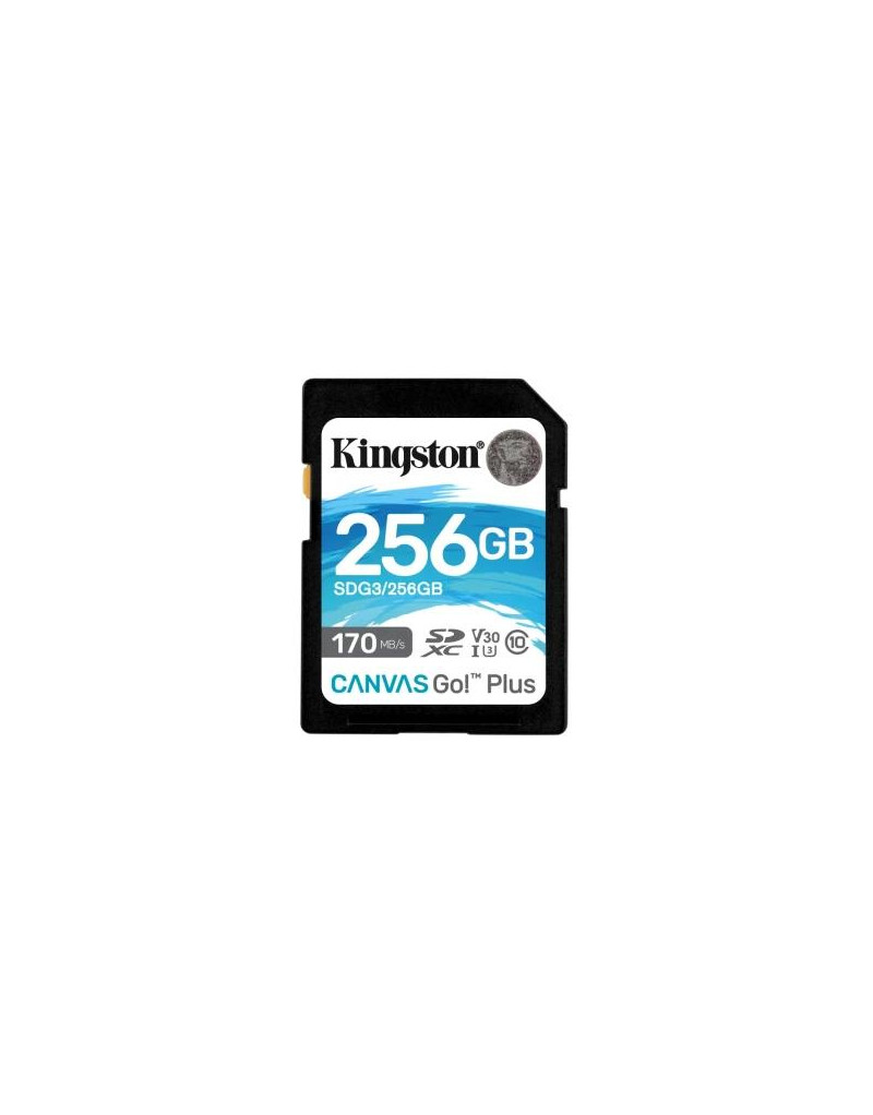 SD Card 256GB Kingston SDG3/256GB class 10 170Mbs/90MBs A2