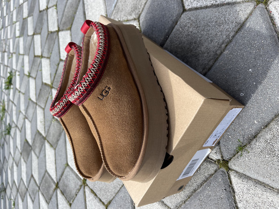 UGG TAZZ chestnut