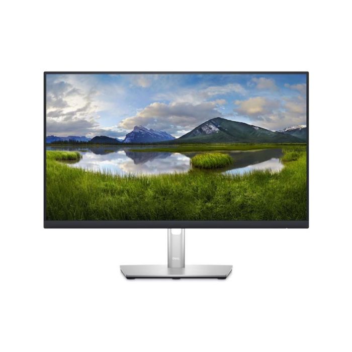 Monitor Dell OEM 23.8'' P2422H