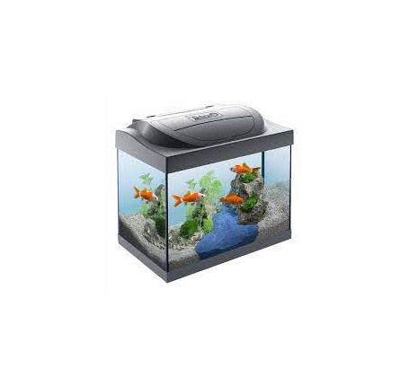 Tetra Akvarijum Start Line LED Cray black 30L