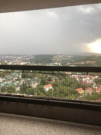 RAKOVICA Patrijarha Joanikija ID: 30537