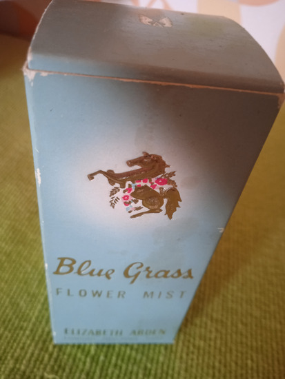 SALE Elizabeth Arden Blue Grass NOV