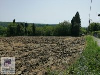 Građevinski plac 1,6 ha, Čukarica, Umka– 116 600€