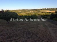 Kameničke Livade-odličan građevinski plac 2500 m2 na Rumskom putu-065/385 8880