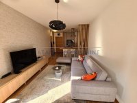 Wellport, Tadije Sondermajera, 51m2-renta ID#54671