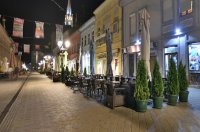 NOVI SAD ZMAJ JOVINA ID: 4617