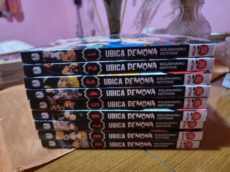 Ubica Demona 1-9