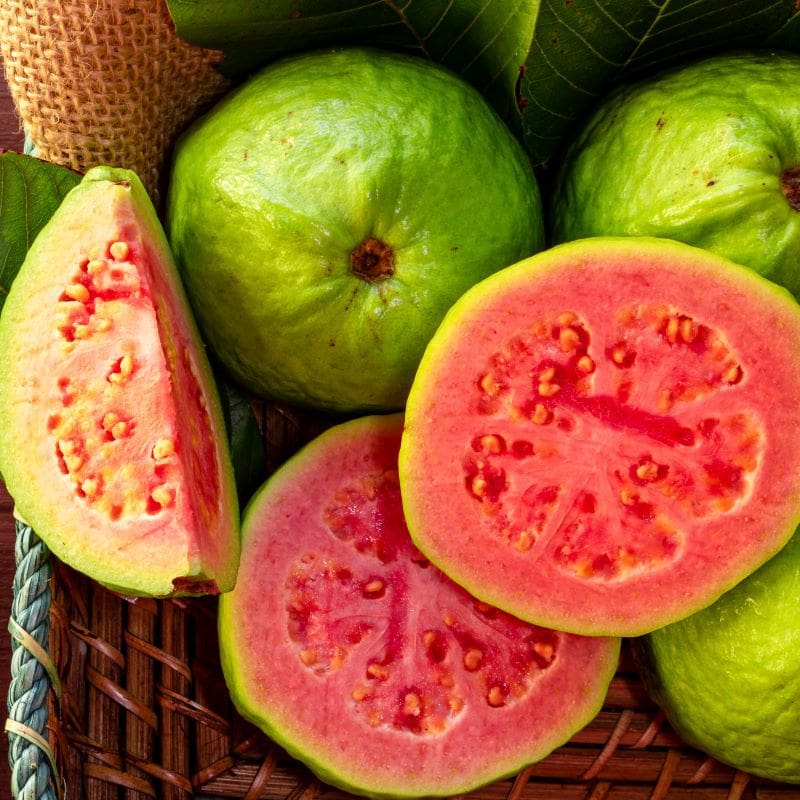 Guava