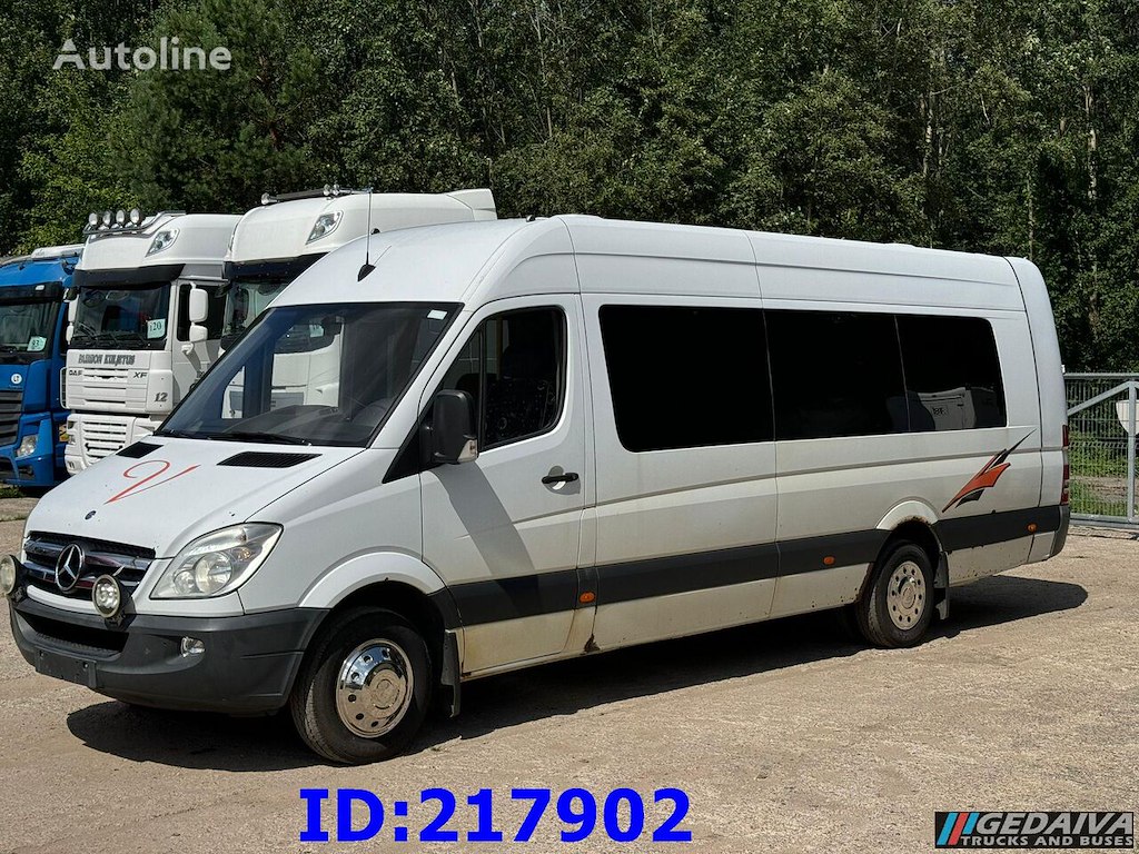 Mercedes-Benz Sprinter 516 - VIP - 23 Seater turistički autobus